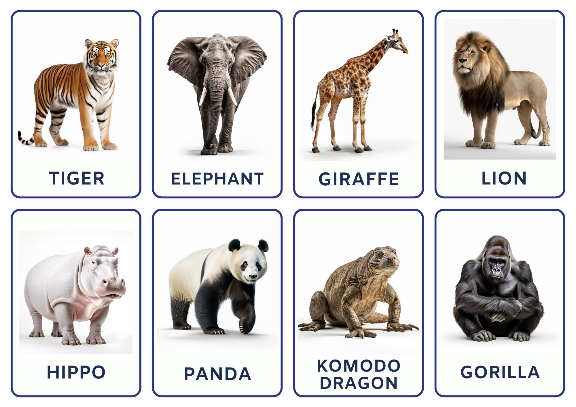 Safari and Jungle Animal Flashcards, Zoo, Woodland, Wild Animals ...