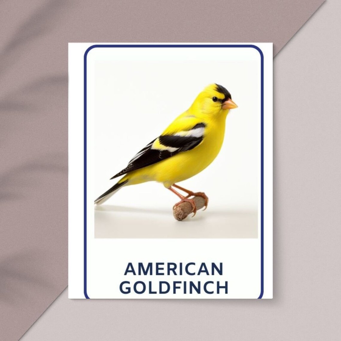 32 Winter Birds Flashcards, Kids Printable, Nomenclature Cards, Toddler ...