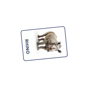 32 Zoo Animals Flashcards, Kids Printable, Nomenclature Cards, Toddler ...