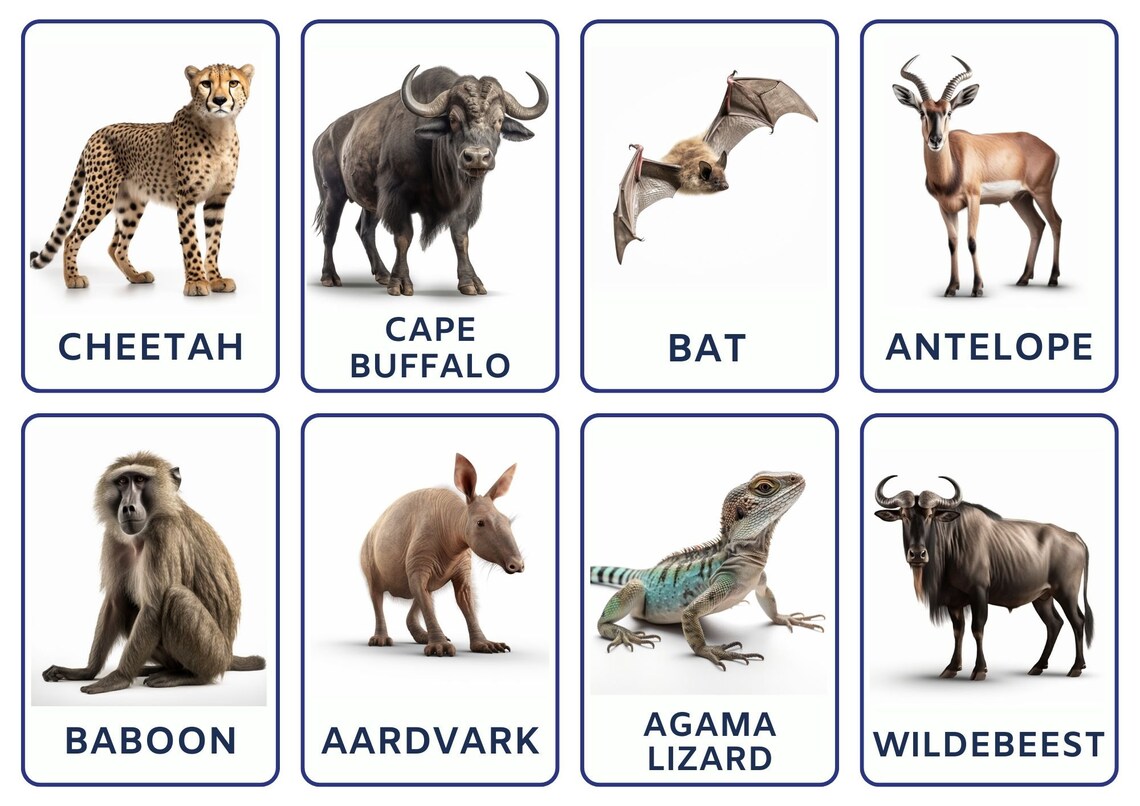 Flashcard Bundle of Animal Adventure Bundle Including African Animals ...