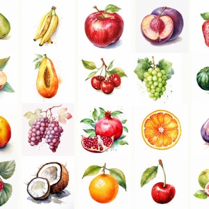Watercolor Fruits Clipart, Watercolor Fruits PNG, Commercial Use ...