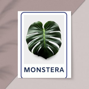 Discover Plant Leaves With 32 Editable Montessori Flash Cards ...
