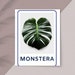 Discover Plant Leaves With 32 Editable Montessori Flash Cards ...