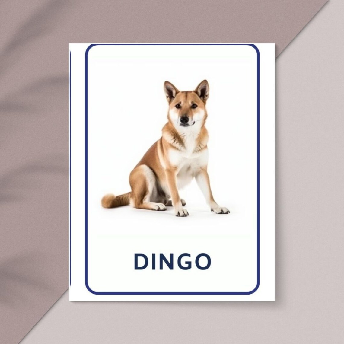 Explore 32 Australian Animals Flashcards for Kids, Printable ...