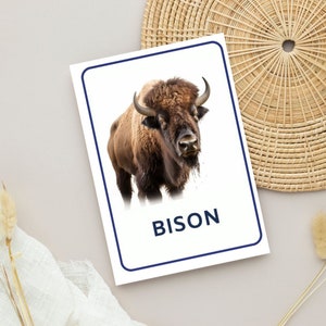 32 Wild Animals Flashcards, African Animals, Kids Cards, Nomenclature ...