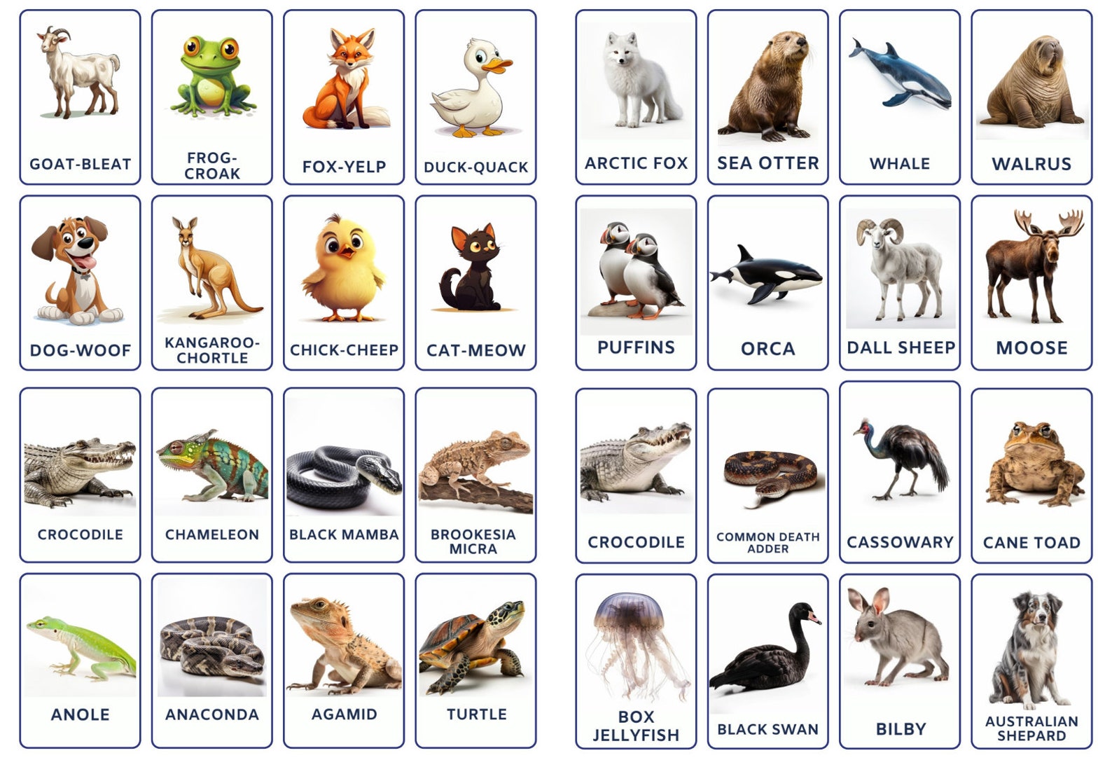 Bundle of Animal Flashcards, Arctic, African, Amphibians and Reptiles ...