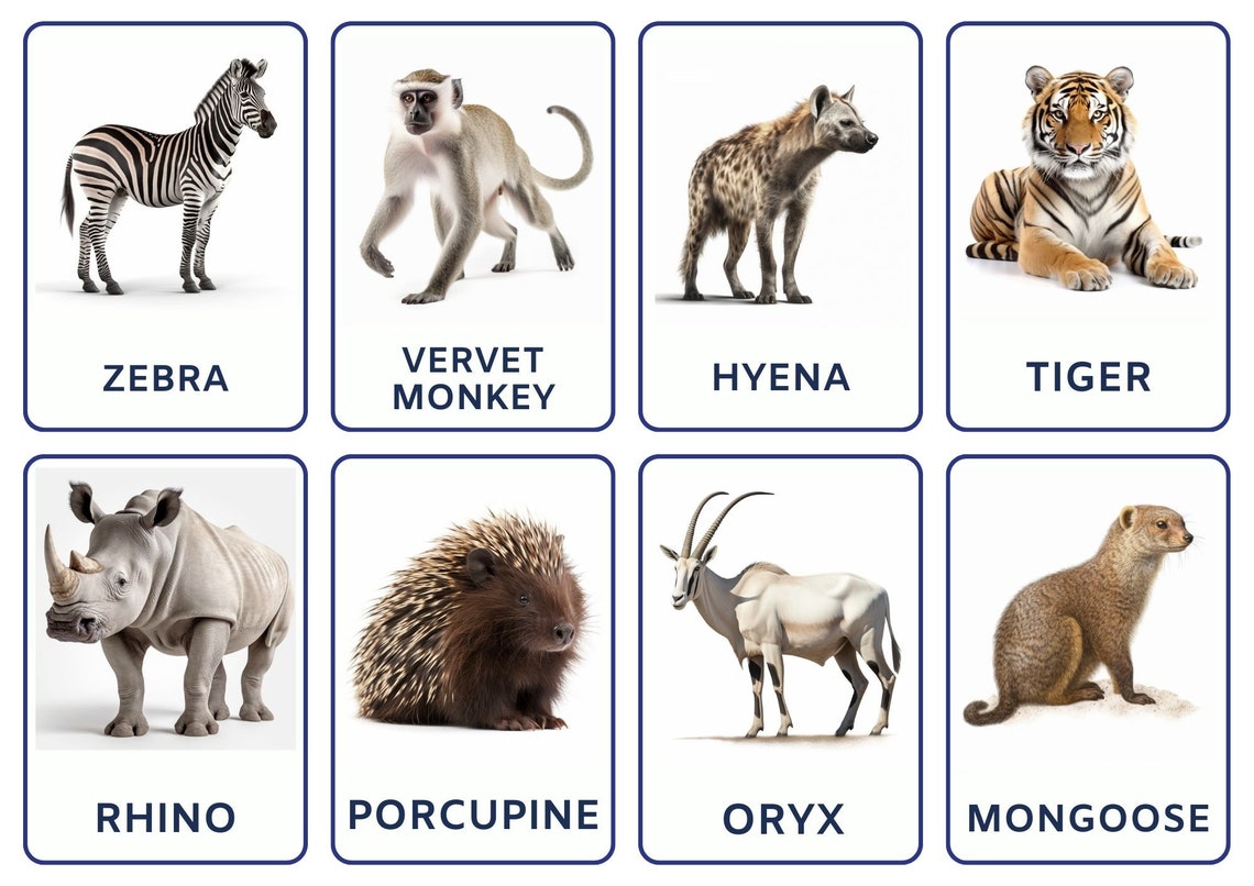 Explore the Outdoors With Our Flashcard Bundle, Safari, Ocean, Jungle ...