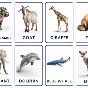 Ultimate Animal Breeds Flashcard Bundle, Including Snake Breeds, Dog ...