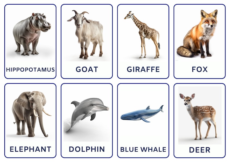 Ultimate Animal Breeds Flashcard Bundle, Including Snake Breeds, Dog ...