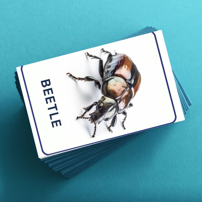 32 Insects Flash Cards, Montessori Flash Cards, Preschool Activity ...