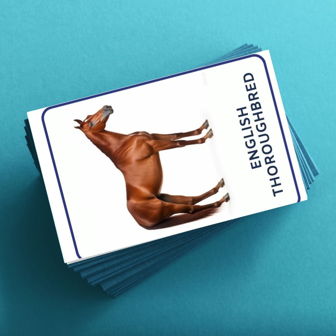 Discover 32 Horse Breeds Flashcards, Montessori-inspired, Printable ...