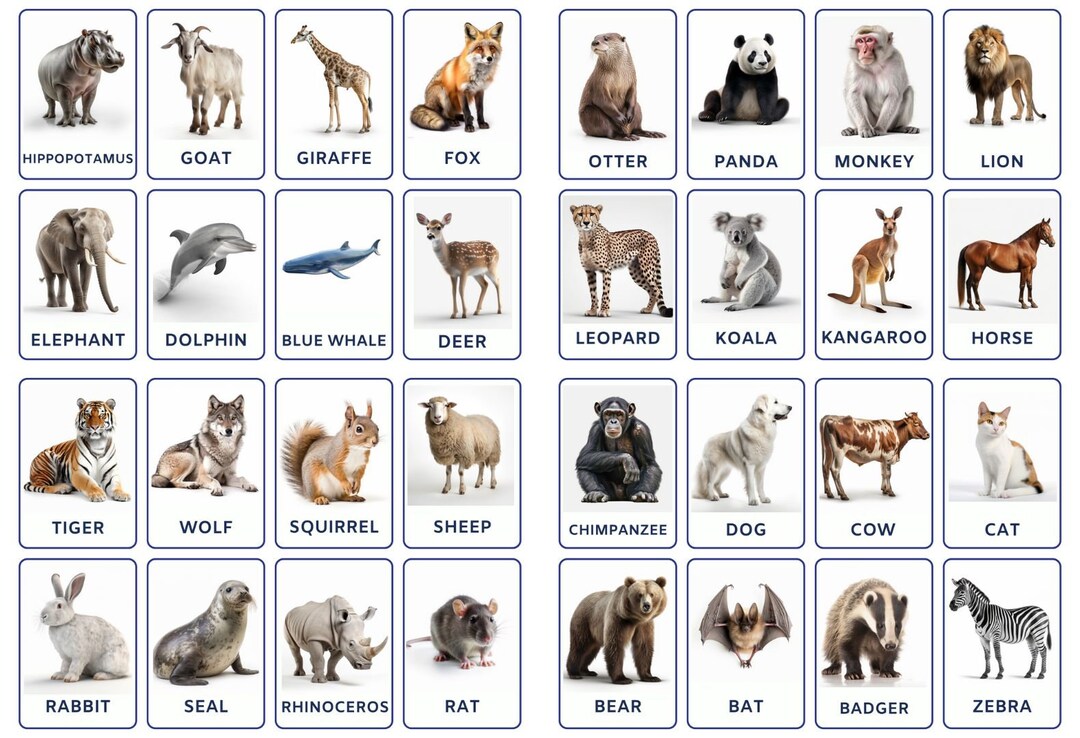 Discover 32 Mammals With Our Montessori Flashcards. Printable PDF Cards ...