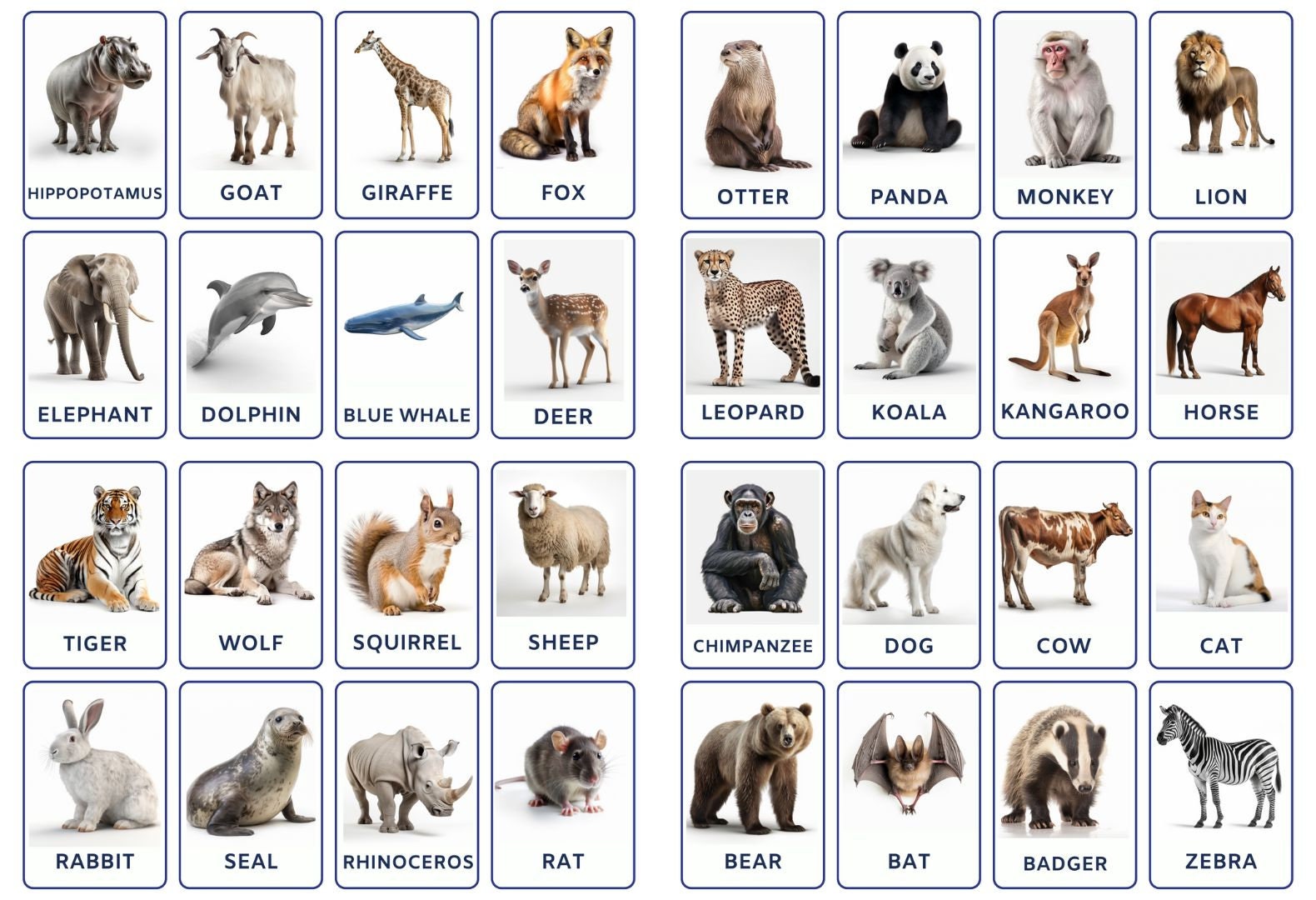 Discover 32 Mammals With Our Montessori Flashcards. Printable PDF Cards ...