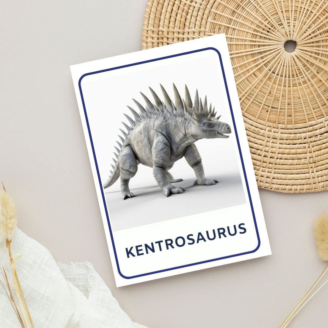 Explore Dinosaurs With 32 Montessori Flash Cards, Real Pictures ...