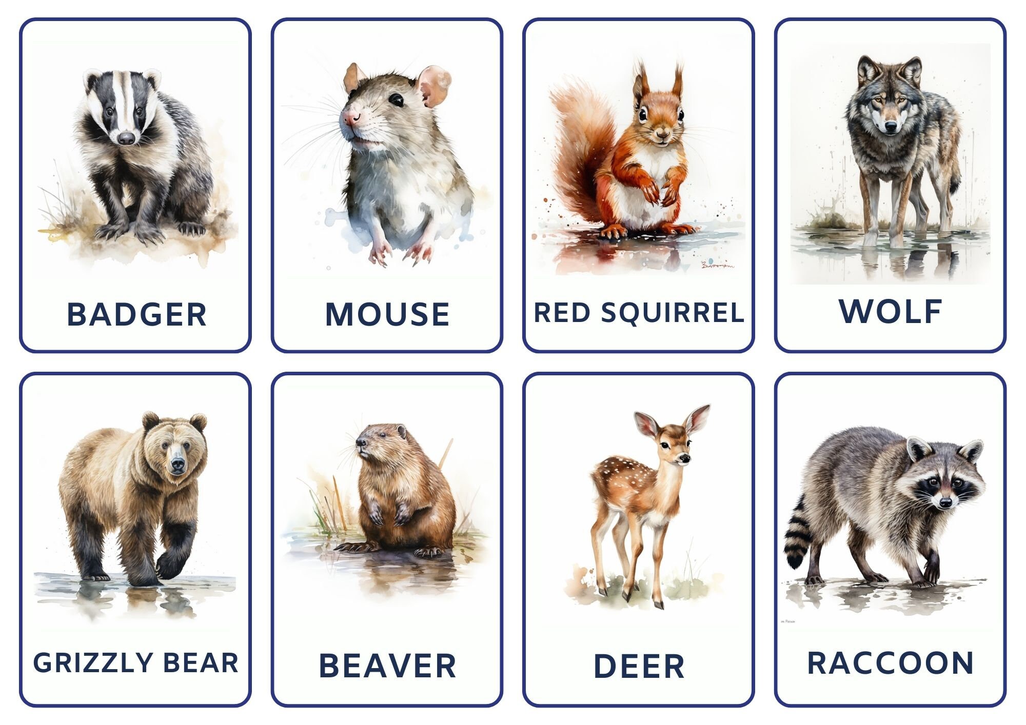 Safari and Jungle Animal Flashcards, Zoo, Woodland, Wild Animals ...