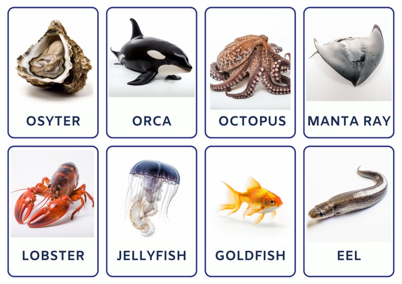 Flashcard Bundle of Woodland Animal Bundle Includes Farm Animals ...