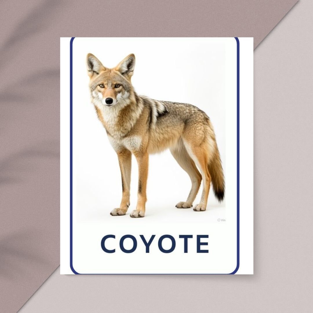 Explore Desert Wonders, 32 Desert Animals Flashcards for Kids and ...