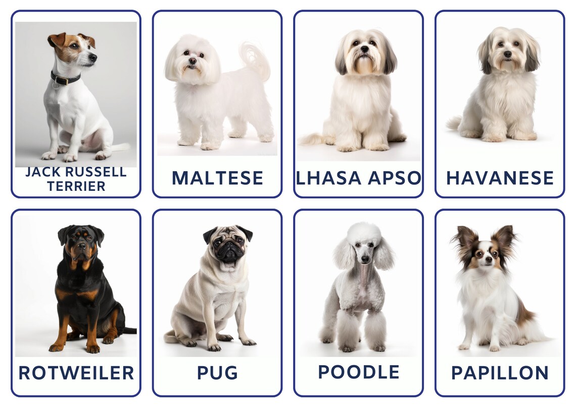 Ultimate Animal Breeds Flashcard Bundle, Including Snake Breeds, Dog ...