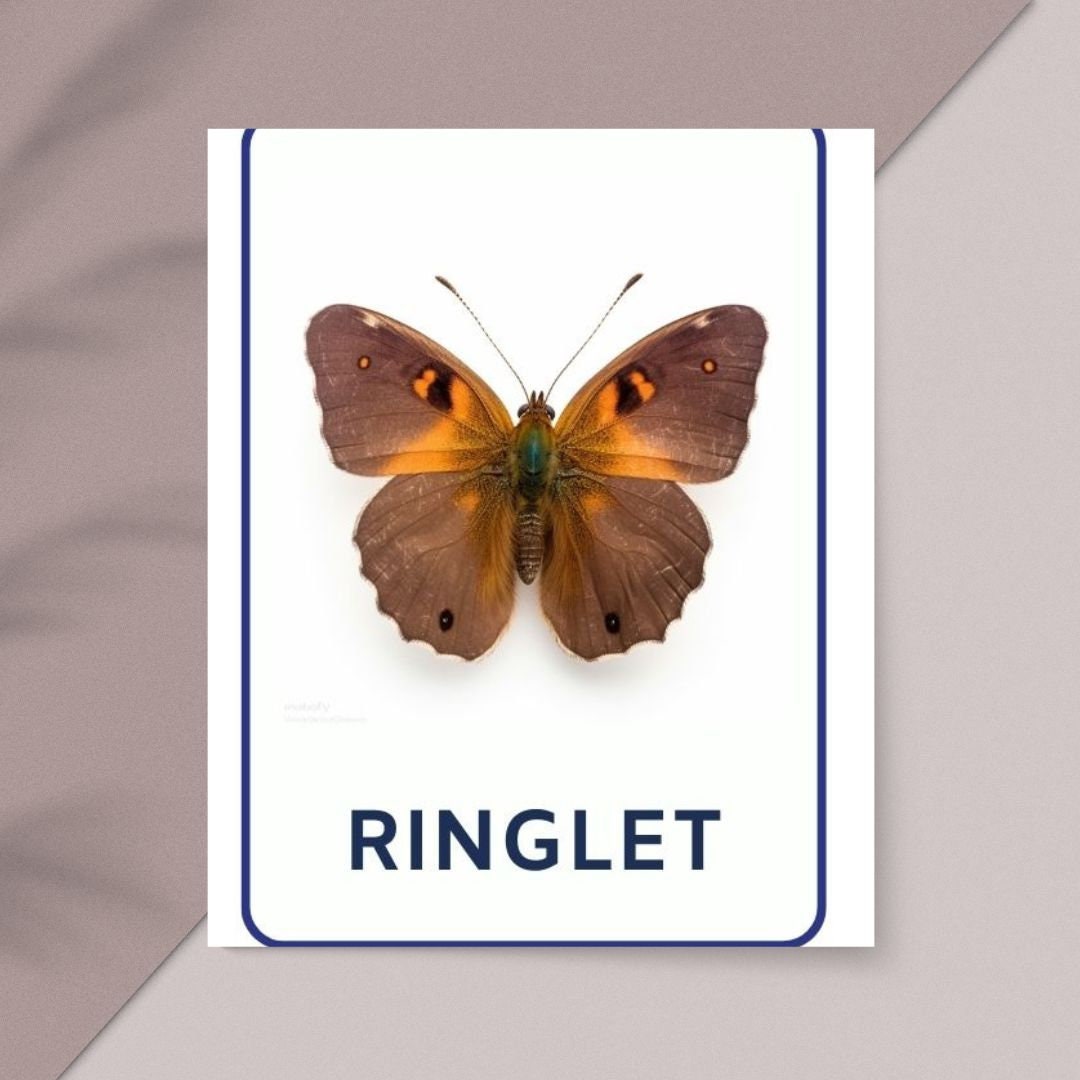 Explore Butterflies With 32 Montessori Flash Cards, Nomenclature ...