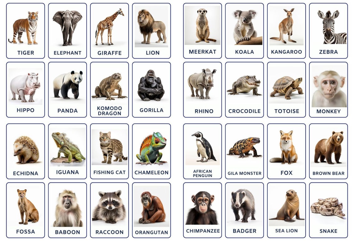 32 Zoo Animals Flashcards, Kids Printable, Nomenclature Cards, Toddler ...