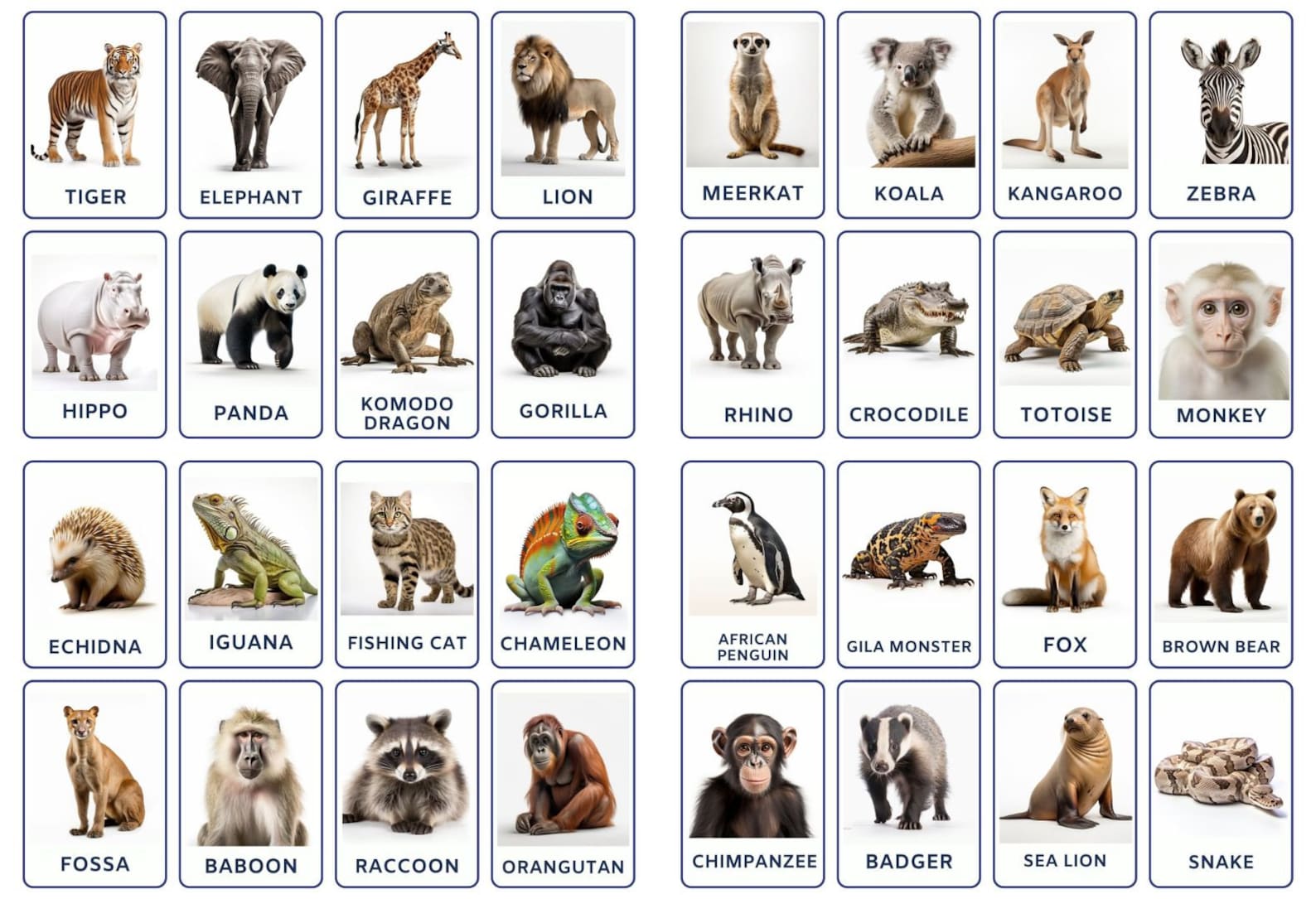 32 Zoo Animals Flashcards, Kids Printable, Nomenclature Cards, Toddler ...