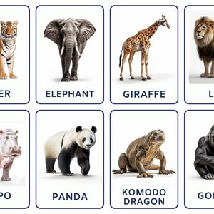 Flashcard Bundle of Woodland Animal Bundle Includes Farm Animals ...