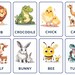 Flashcard Bundle of Wildlife Diversity Includes Australian Animals ...