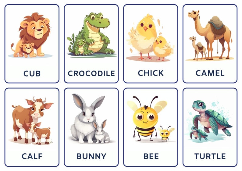 Flashcard Bundle of Wildlife Diversity Includes Australian Animals ...