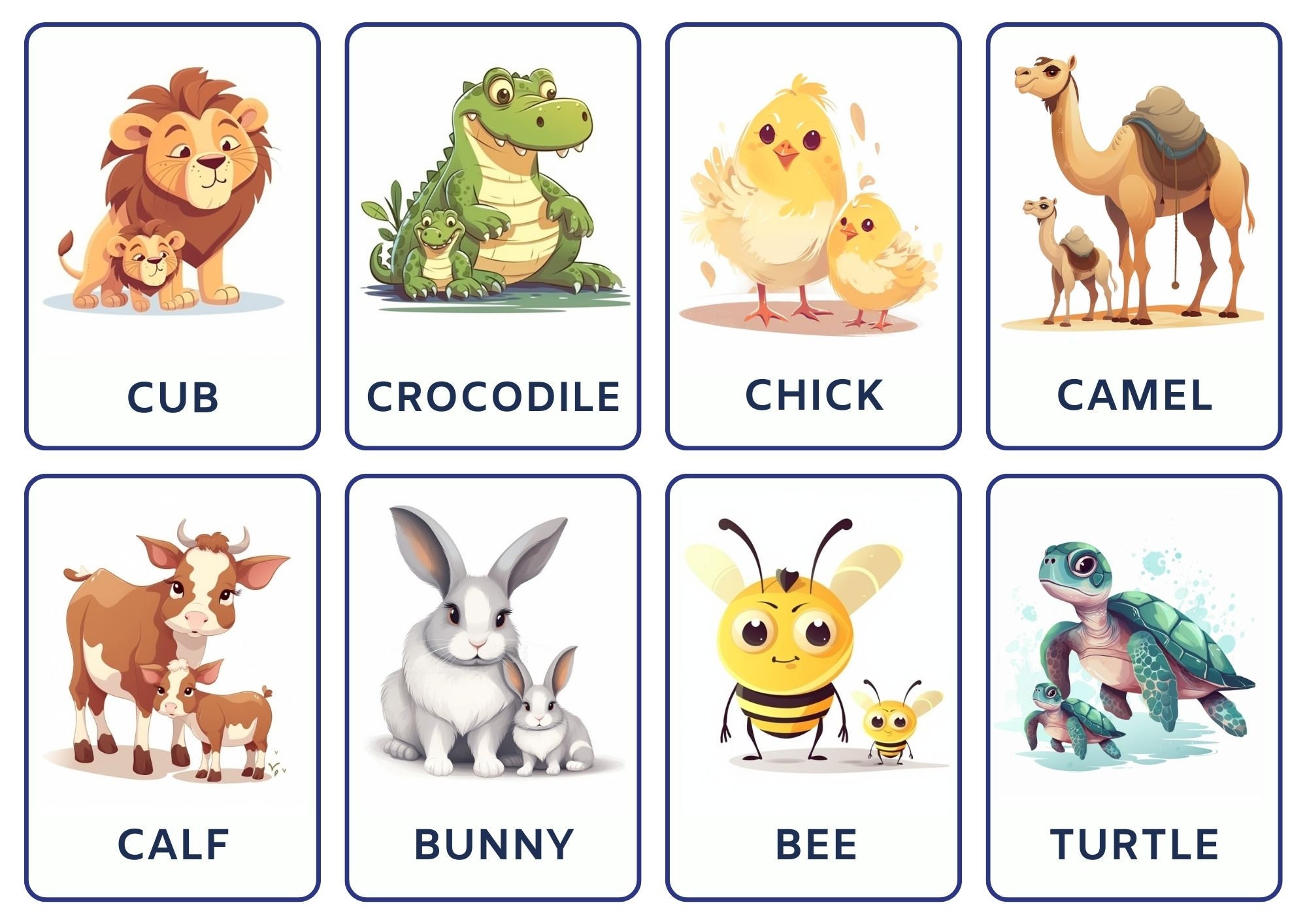 Flashcard Bundle of Wildlife Diversity Includes Australian Animals ...