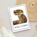 32 Snakes Flashcards, Kids Printable, Nomenclature Cards, Toddler ...