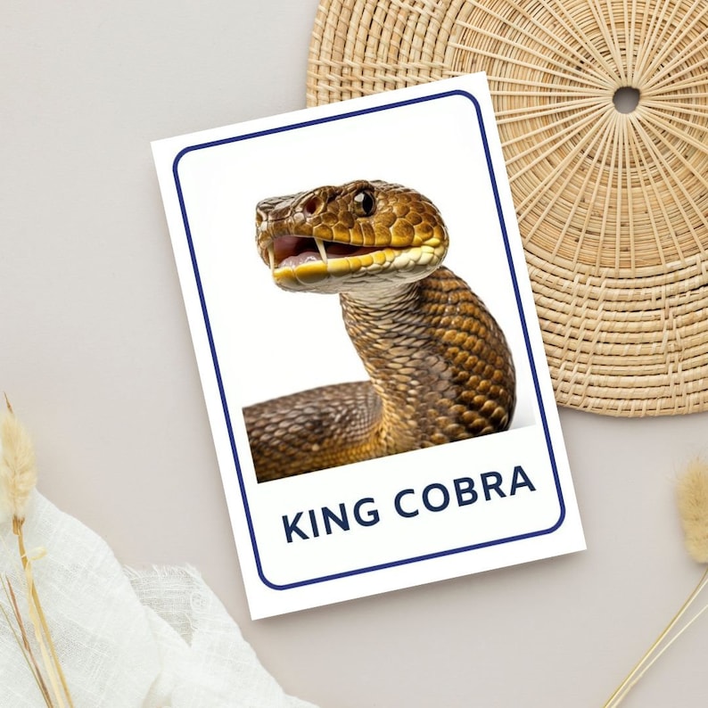 32 Snakes Flashcards, Kids Printable, Nomenclature Cards, Toddler ...