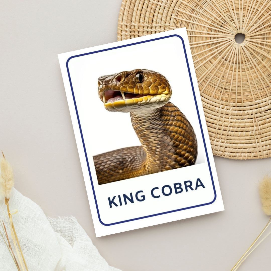 32 Snakes Flashcards, Kids Printable, Nomenclature Cards, Toddler ...