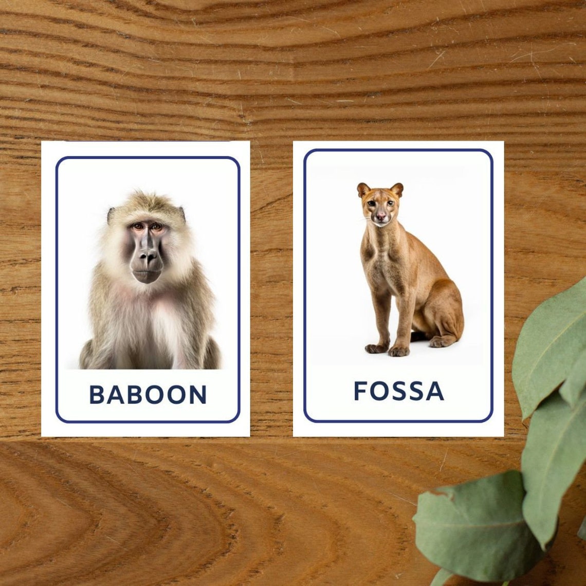 32 Zoo Animals Flashcards, Kids Printable, Nomenclature Cards, Toddler ...