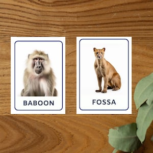 32 Zoo Animals Flashcards, Kids Printable, Nomenclature Cards, Toddler ...
