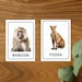 32 Zoo Animals Flashcards, Kids Printable, Nomenclature Cards, Toddler ...