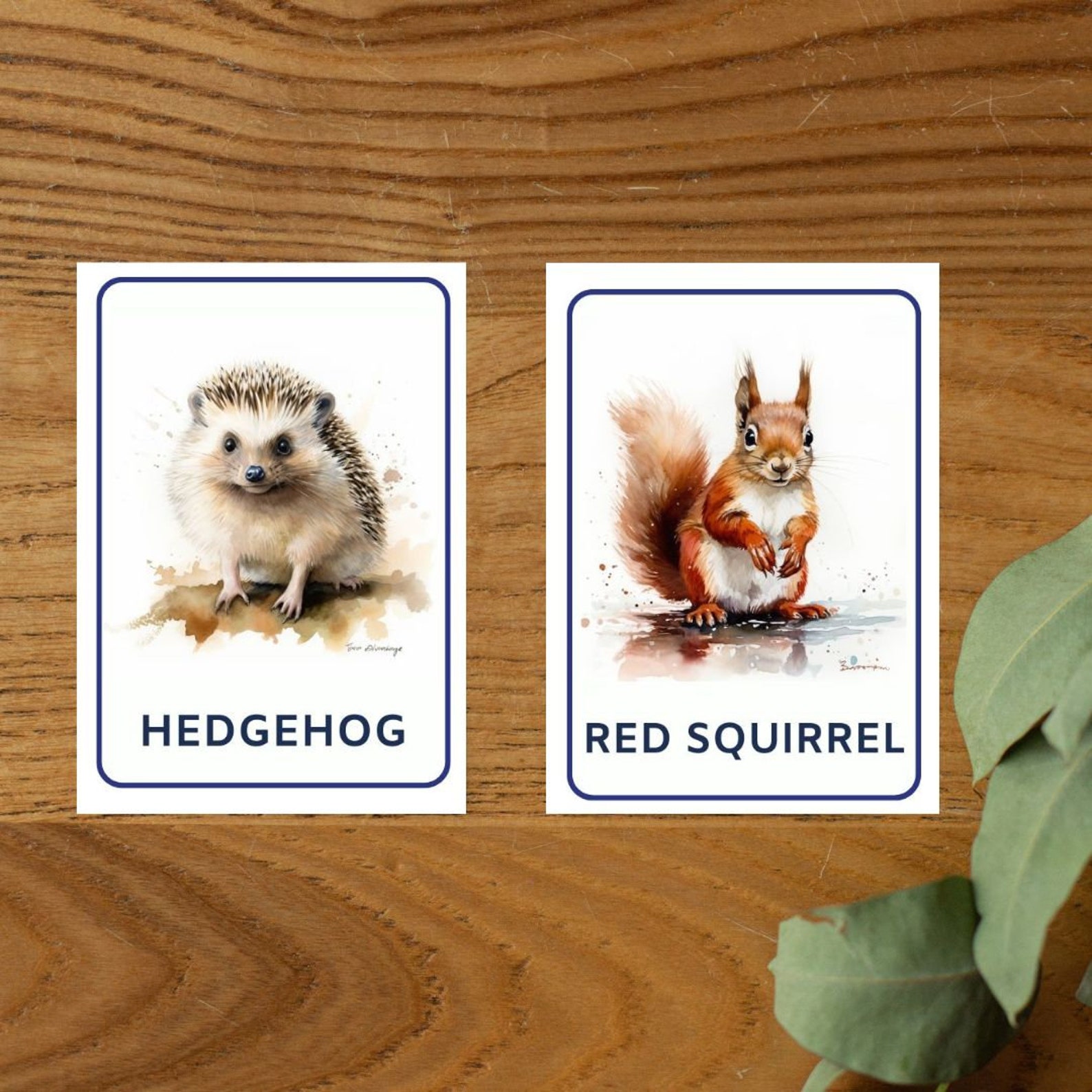 32 Woodland Animals Flashcards, Kids Printable, Nomenclature Cards ...