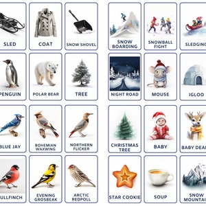 Charming Holiday Creations Flashcard Bundle, Including Winter ...