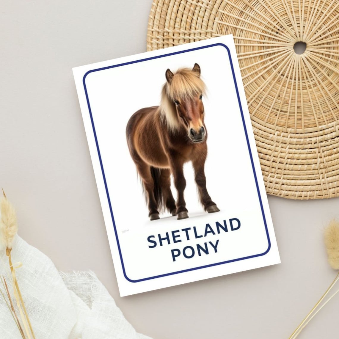 Discover 32 Horse Breeds Flashcards, Montessori-inspired, Printable ...