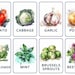 Health and Nutrition Flashcard Bundle, Including Fruits, Breakfast ...