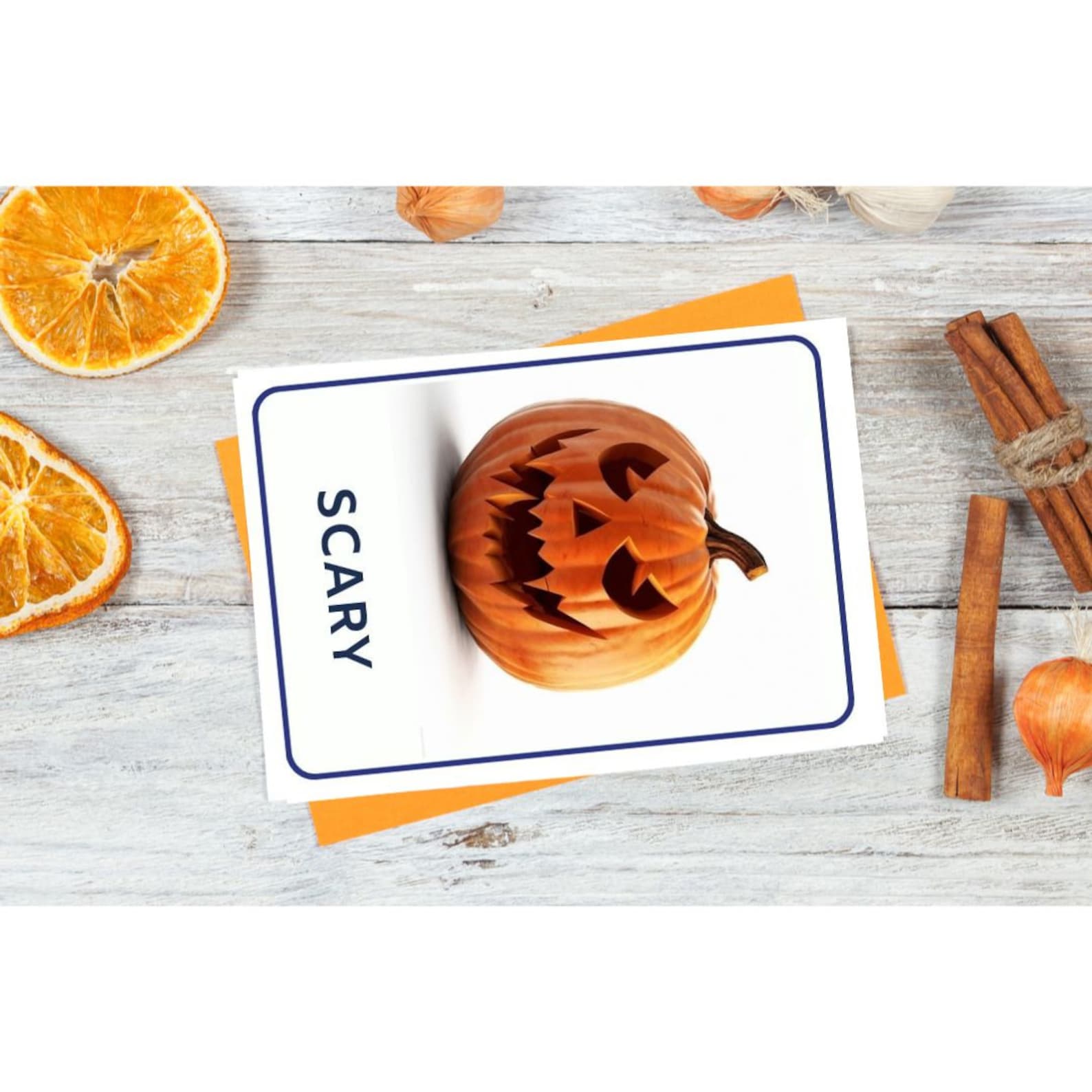 Spooky Halloween Vocabulary Flash Cards, 32 Editable Montessori Cards ...