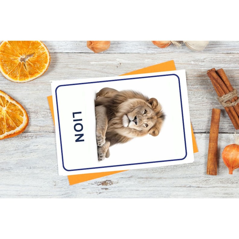 32 Wild Animals Flashcards, African Animals, Kids Cards, Nomenclature ...