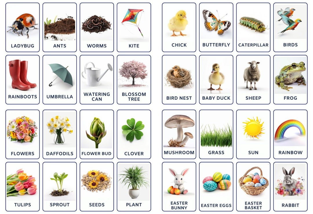 32 Spring Flashcards, Seasons, Flowers, Instant Download, Nature Cards ...