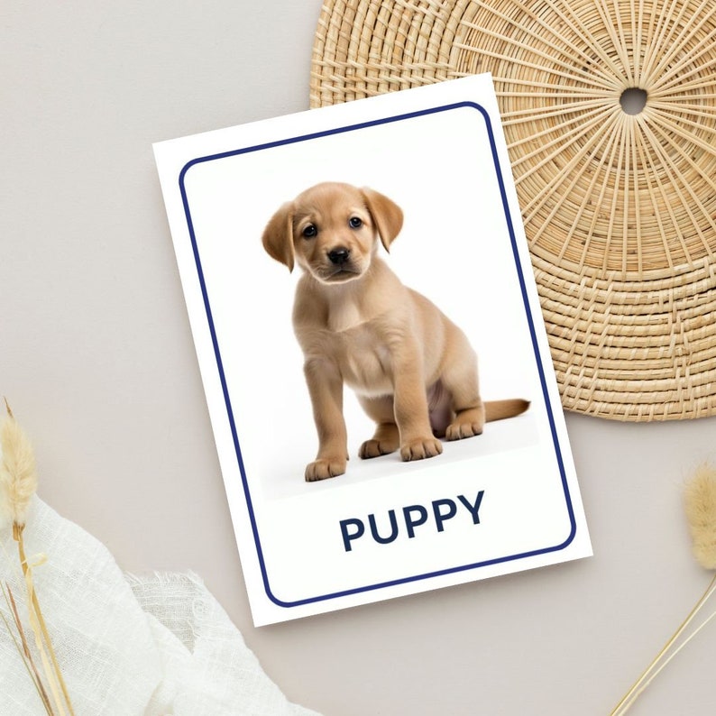 32 Domestic Animals and Birds Flashcards, Kids Printable, Nomenclature ...