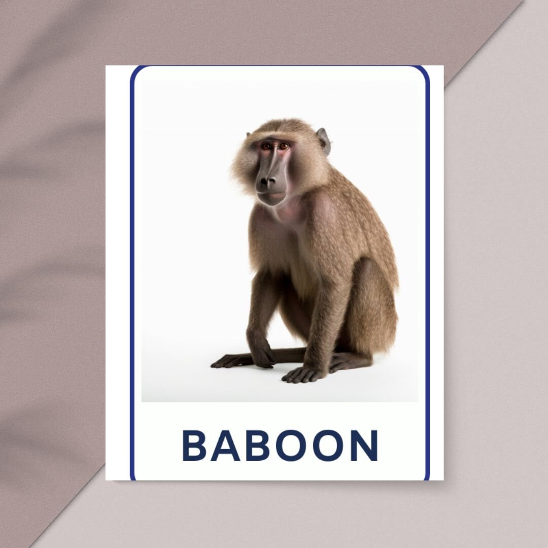 Découvrez les animaux de la jungle ! 32 cartes Montessori avec PDF ...