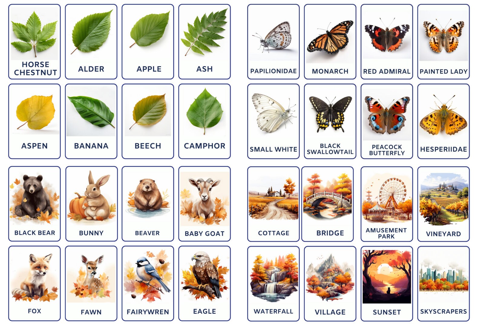 Flashcard Bundle of Nature's Beauty Including Butterflies, Woodland ...