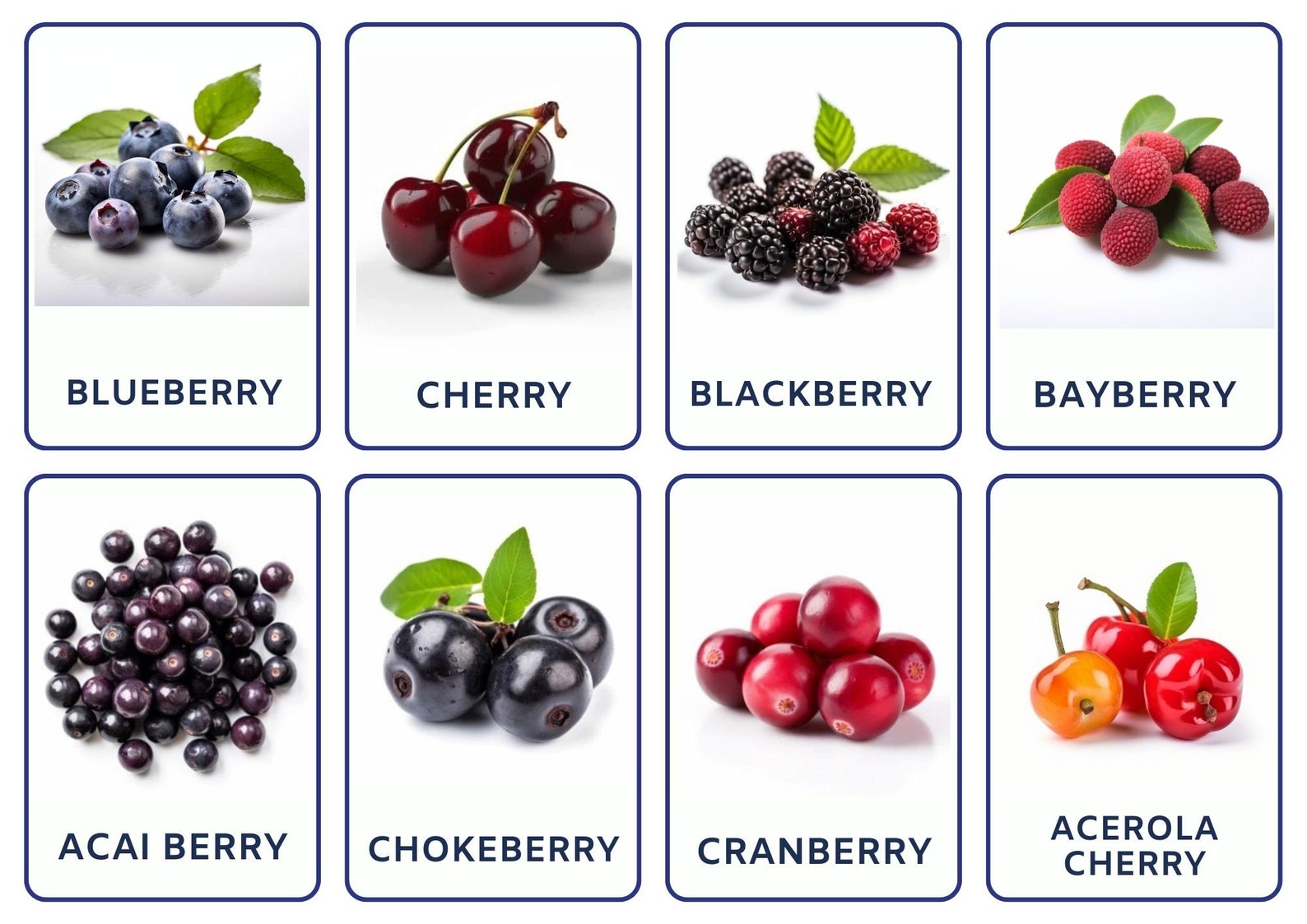 Natures Farm Feast Flashcard Bundle, Including Berries Flashcard, Nuts ...