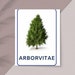 Trees, Real Pictures, 32 Editable Montessori Cards, Nomenclature ...