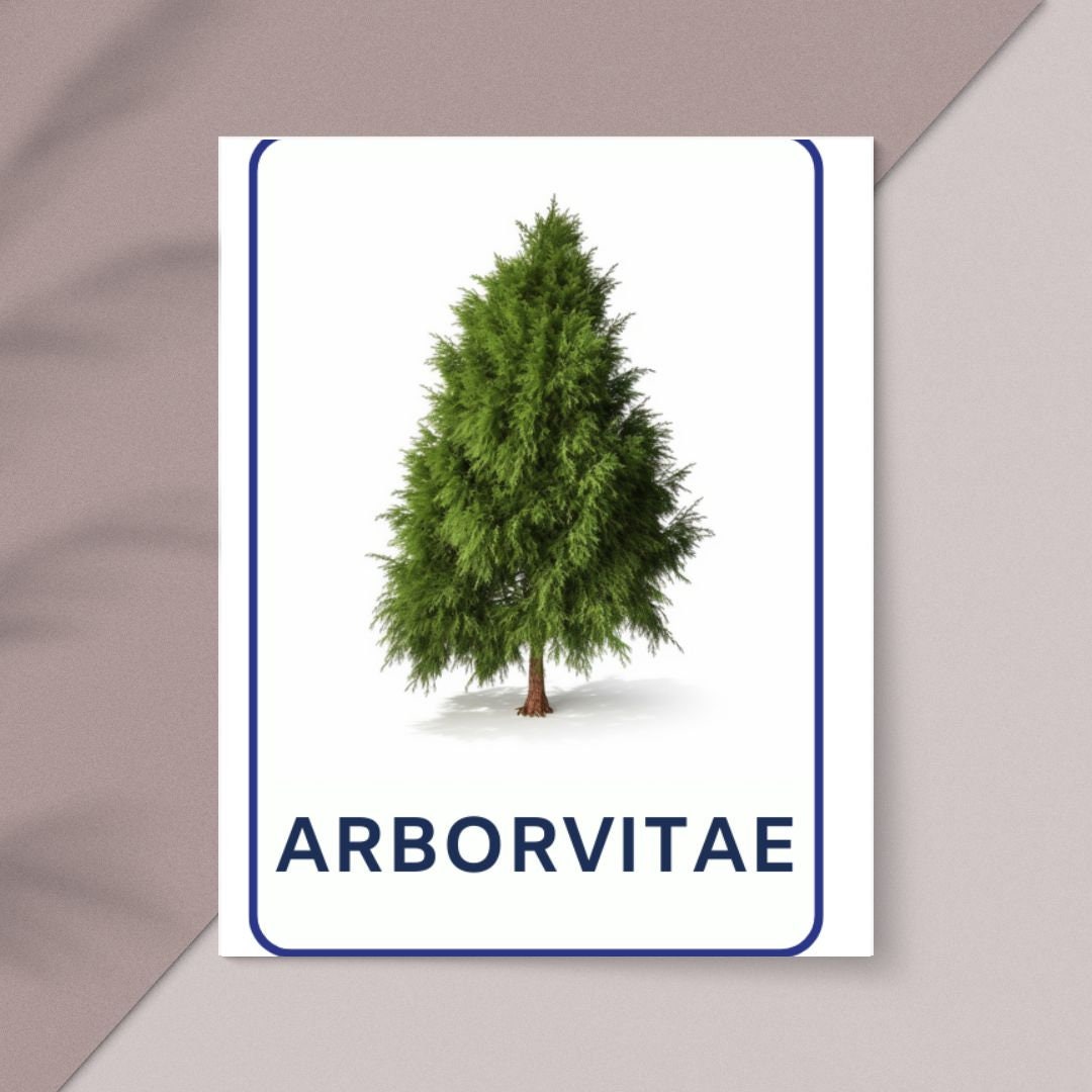 TREES (real Pictures) - 32 Editable Montessori Cards, Nomenclature ...