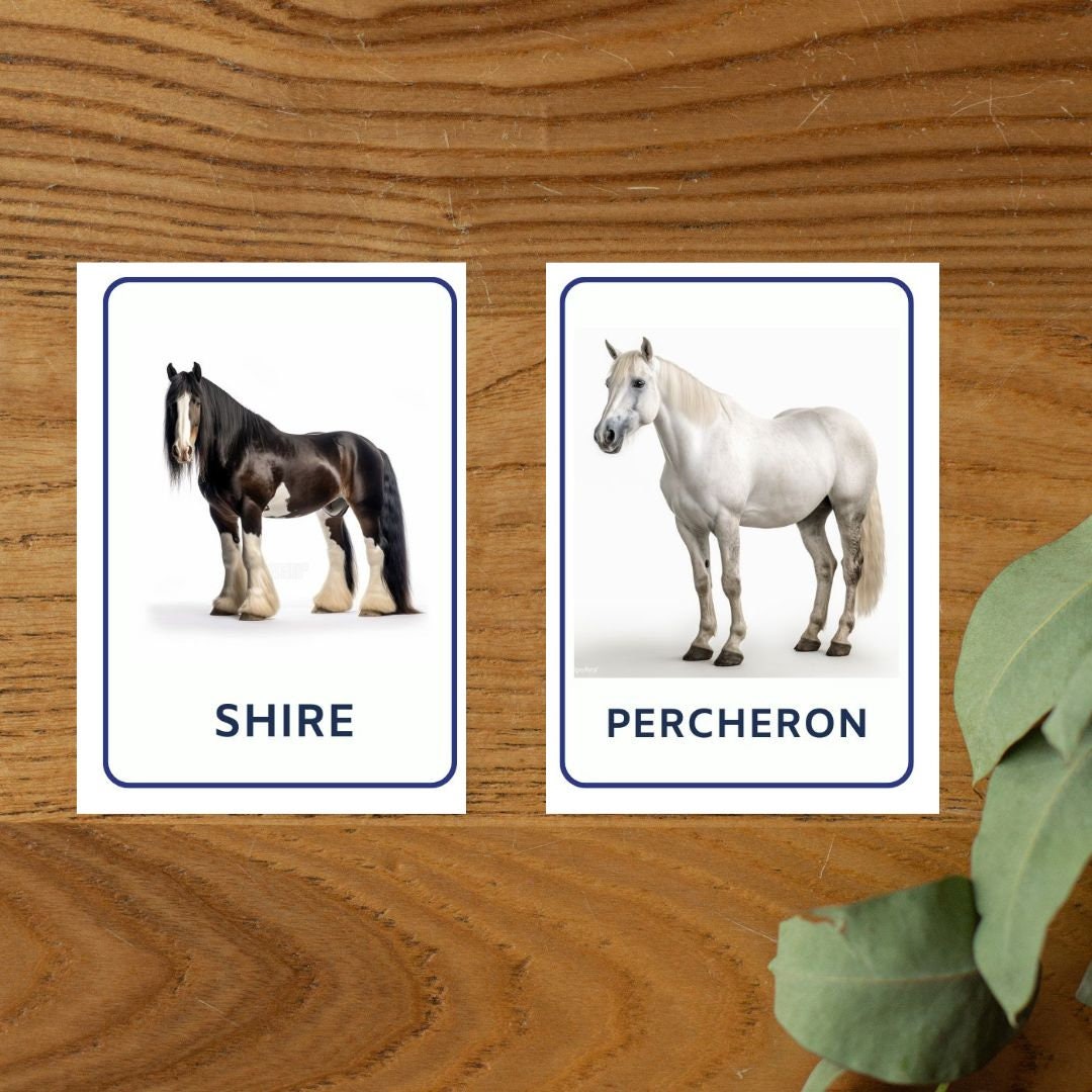 Discover 32 Horse Breeds Flashcards, Montessori-inspired, Printable ...