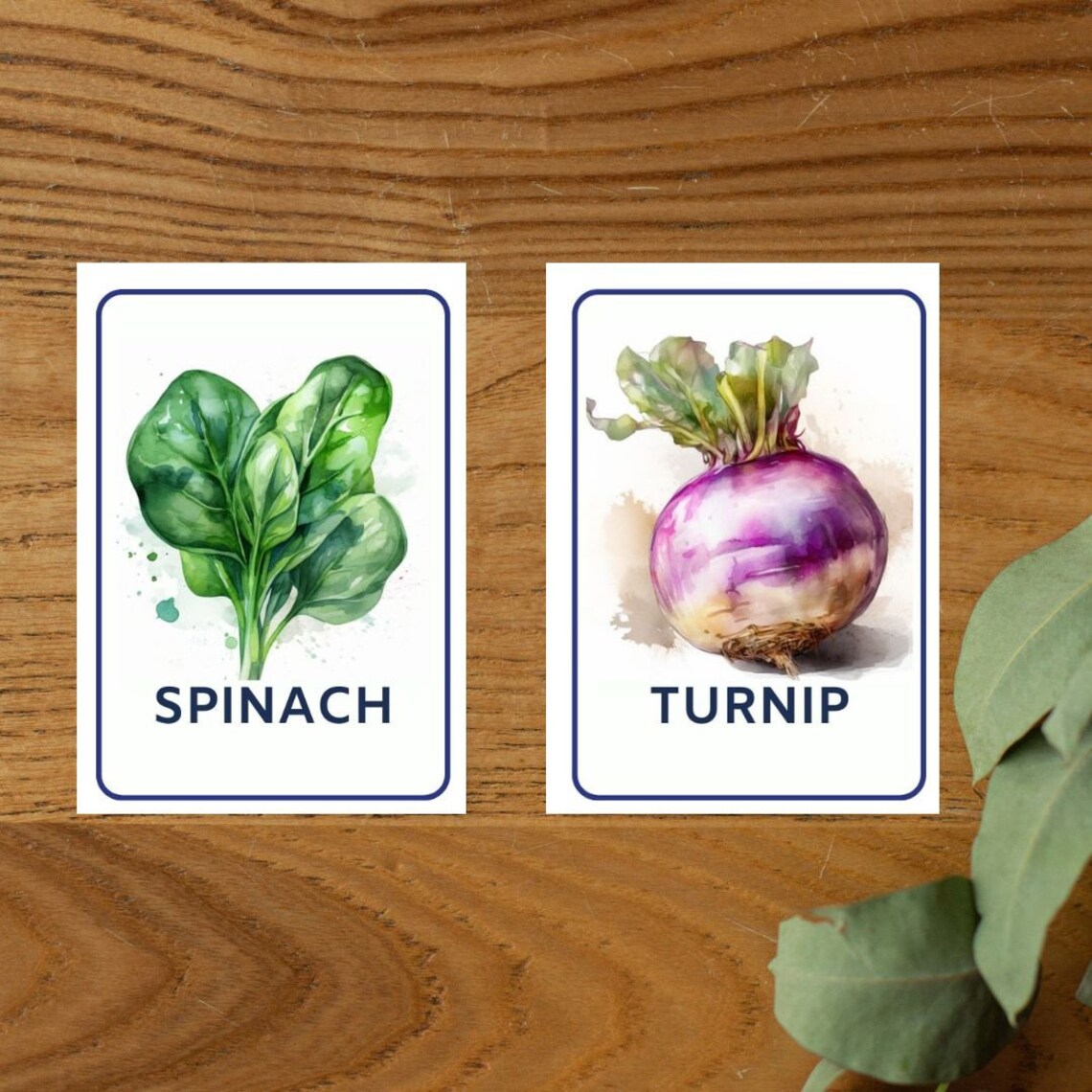 32 Vegetables Flashcards, Image Cards for Kids, Preschool, Nomenclature ...